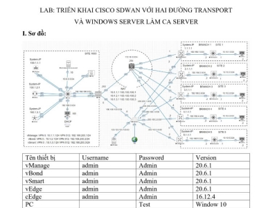 LAB TRIỂN KHAI CISCO SDWAN VỚI HAI ĐƯỜNG TRANSPORT VÀ WINDOWS SERVER ...