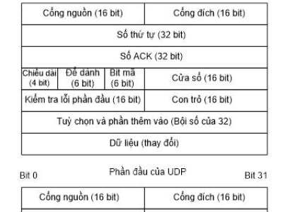 TCP vs UDP – Cặp shipper kinh điển trong thế giới mạng mà kỹ sư nào ...